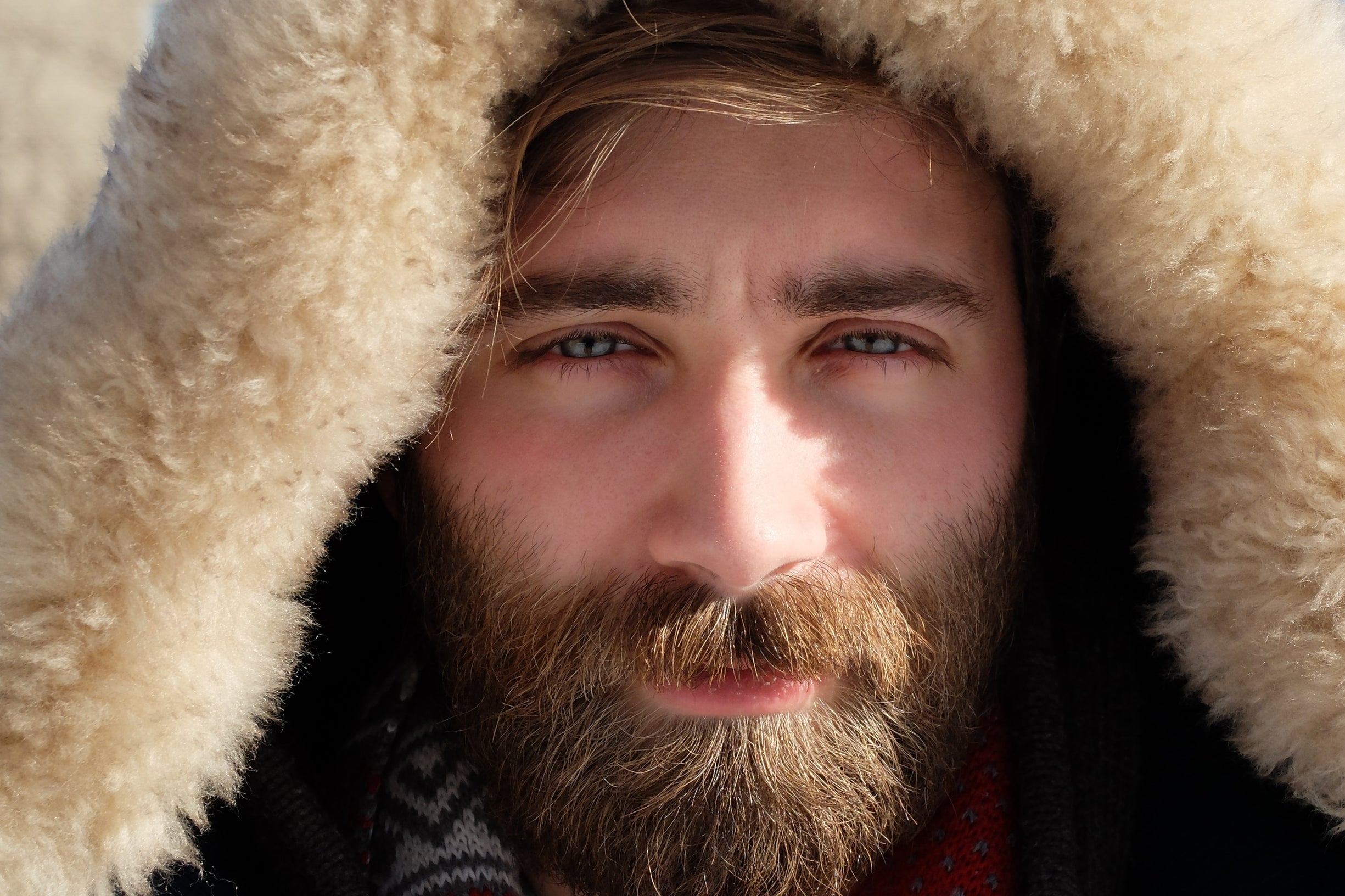 Growing a beard: The Ultimate Guide for Men Who Want to Join the Hairy ...
